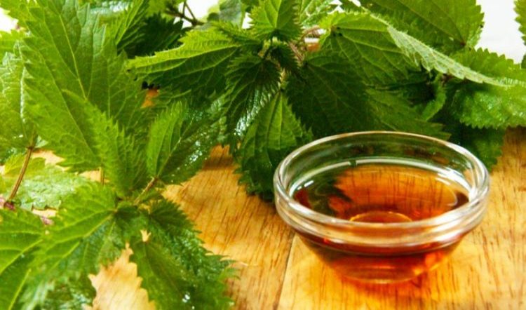 Vuani nga diarreja, astma e kanceri? “Receta” e çajit të Hithrës do t ...