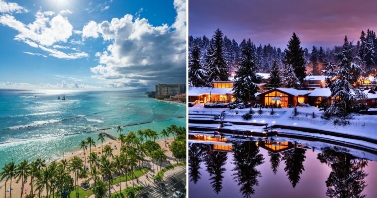 Dimri apo vera? Mësoni cila është stina e preferuar e shenjave të ...