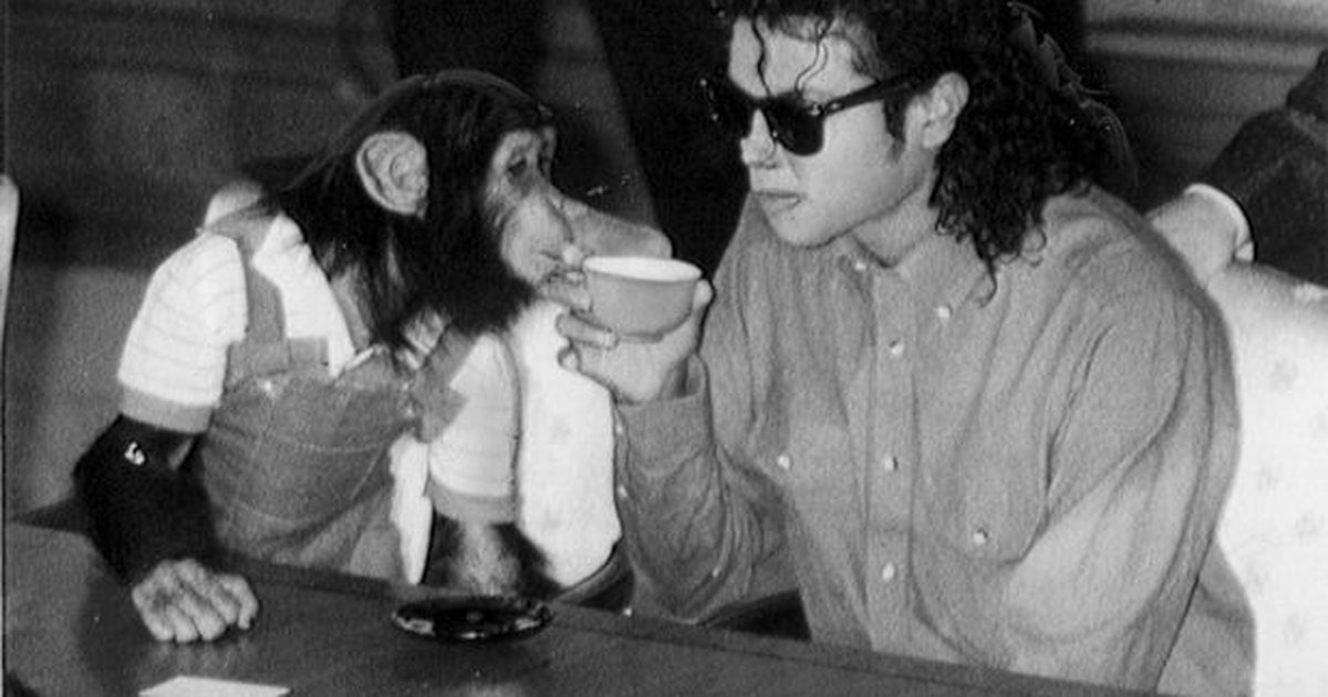 Zbulohen anët e “errëta” të Michael Jackson/ Si e dhunonte shimpanzenë ...