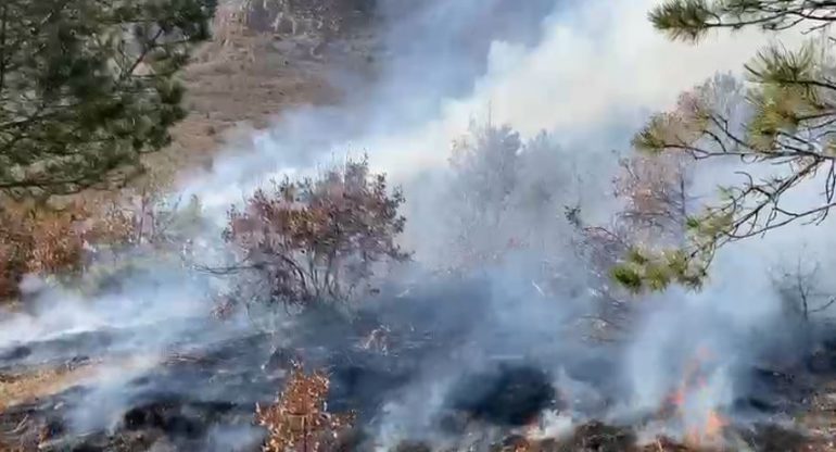 E frikshme/ Zjarri masiv përfshinë qindra hektarë pyje e kullota në ...