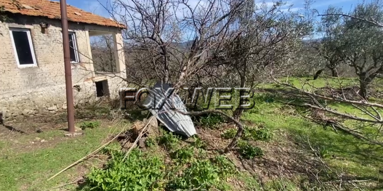 Plakat e prillit pas dere! / “Ka shkulur ullinjtë me rrënjë, pyje e ...