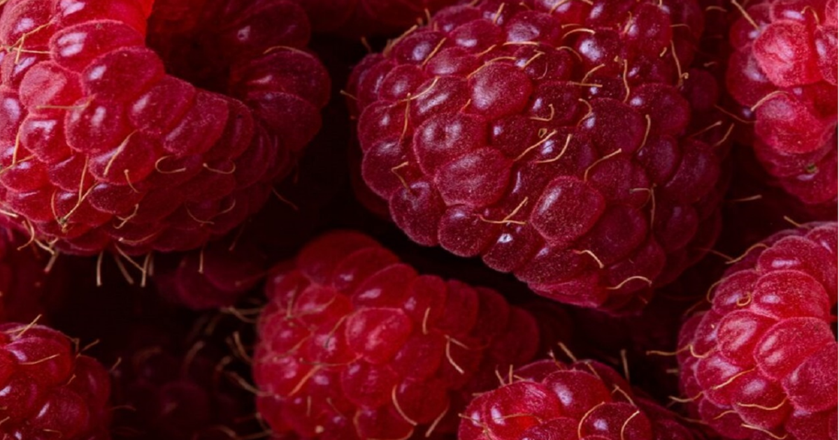 Frutat dhe perimet e kuqe pasuri për trupin dhe ilaç për zemrën, gjakun ...