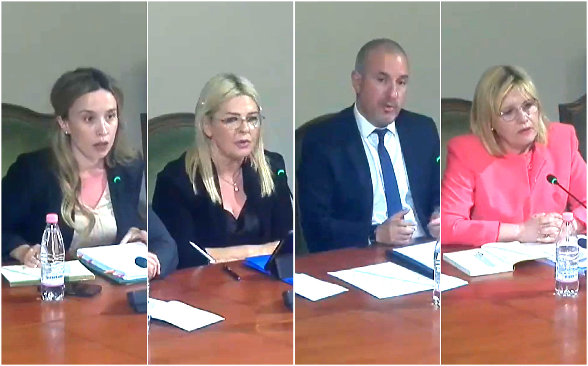 Nga Ervin Bushati, te Vasilika Hysi dhe Zhaklin Peto, kandidatët për ambasadorë prezantojnë ...