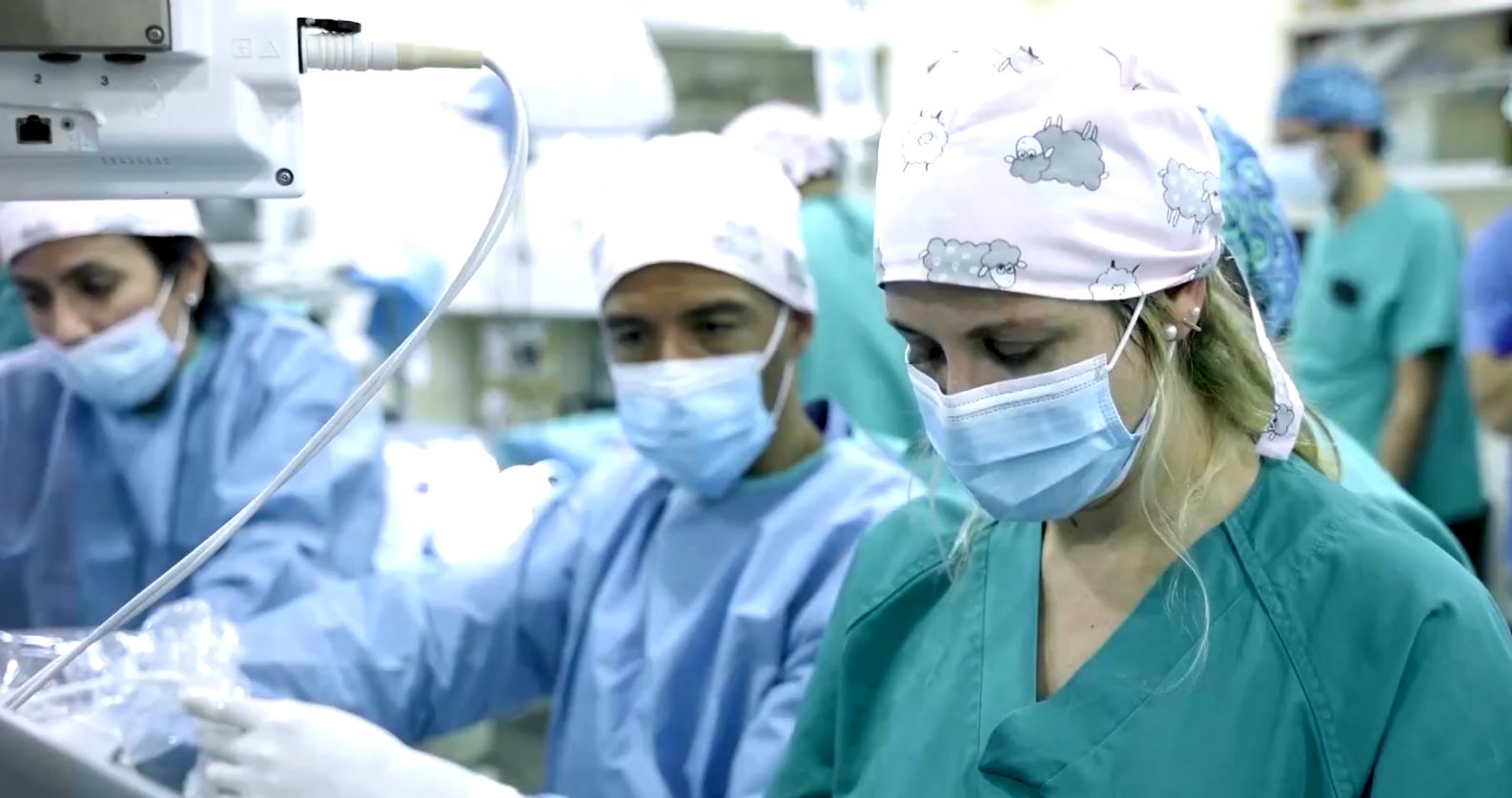 Ndodh e pazakonta, shkenca krijon organin riprodhues - Sot News | Lajme