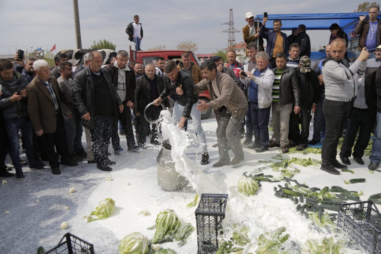 Problematikat me tregtimin e qumështit dhe pasojat në ferma, blegtorët ...