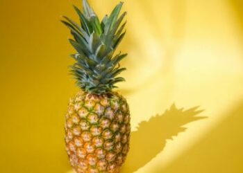 Home - Sot News | Lajme