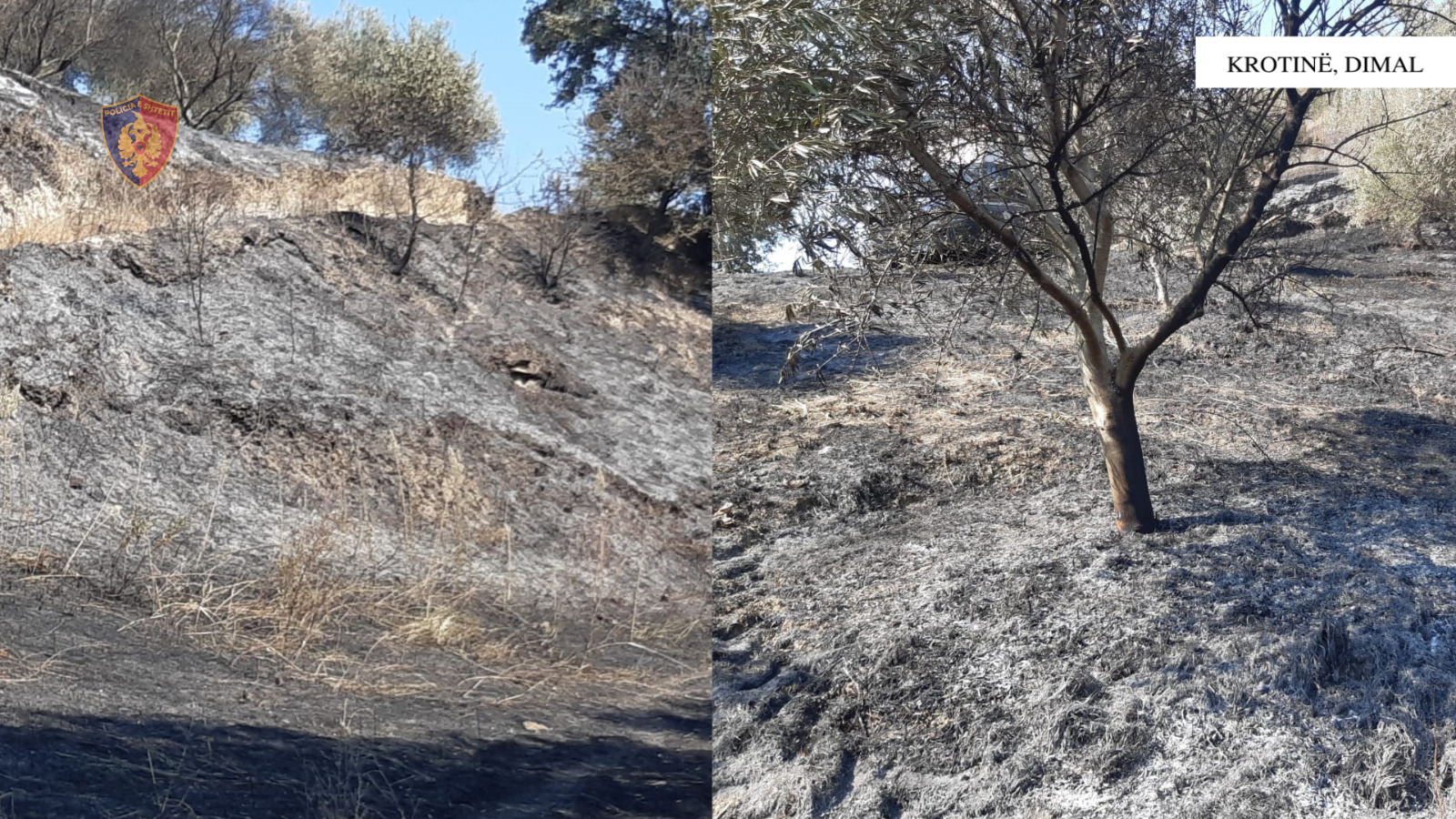 Ndezi zjarr në fshatin ku banonte dhe si pasojë u dogj sipërfaqja me ...