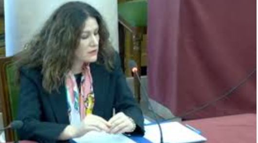 Komisioni i Dezinformimit,kryetarja e SHISH: Ndërhyrjet malinje nga ...