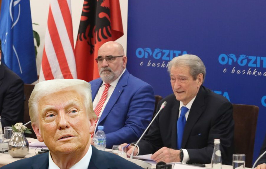 Ja si konsulenti amerikan i Sali Berishës fryu faturat dhe vodhi nga ...