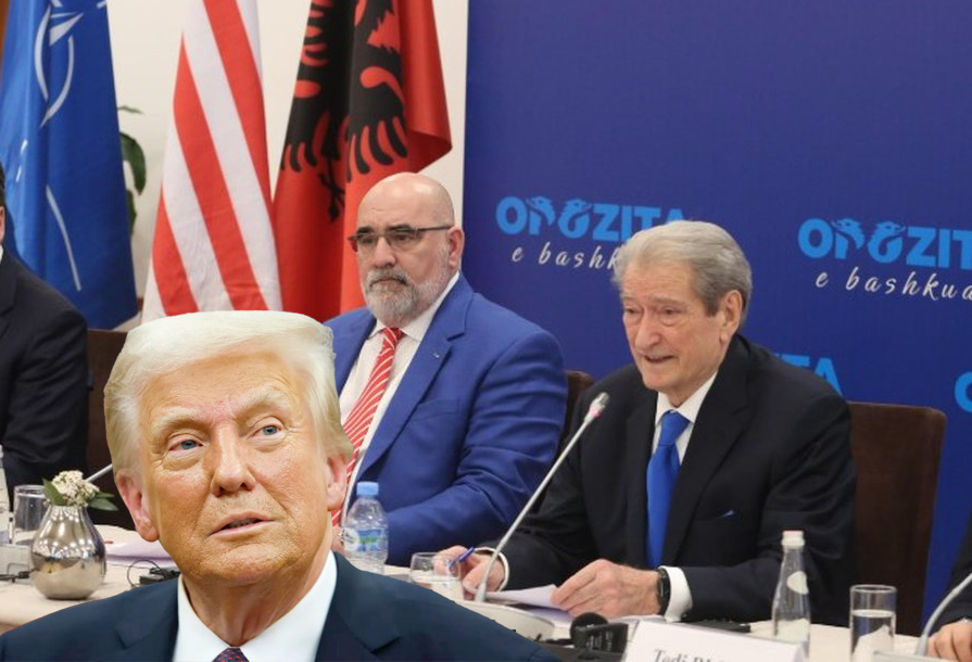 Ja si konsulenti amerikan i Sali Berishës fryu faturat dhe vodhi nga ...