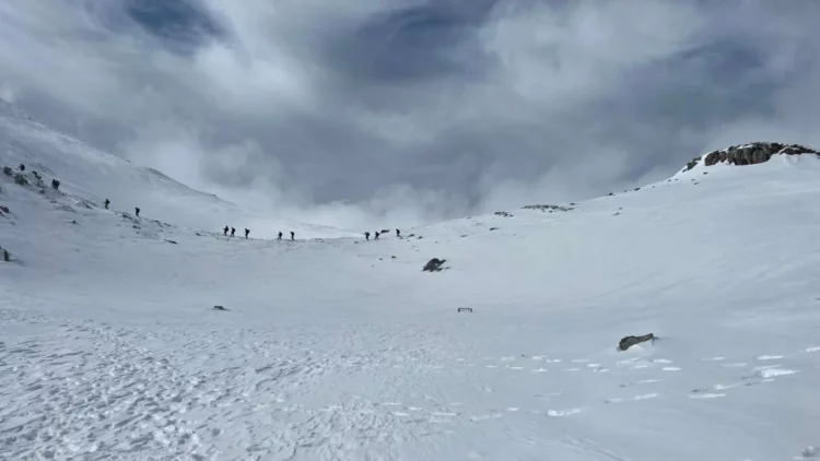 Humbën në Pyll, 27-vjeçari gjehet i ngrirë dhe i pajetë, babai në ...