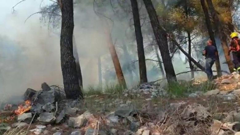 Zjarrvënie në varreza/ Po digjte barishtet te varri i nënës, dhe i vuri ...