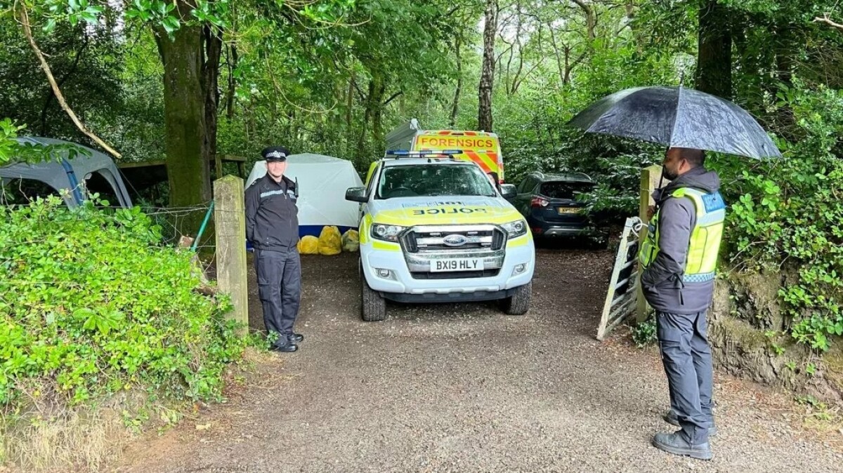 Zbulimin makabër/ Gjenden trupa të shumtë në pyll, mediat: Një nga ...