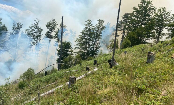 Dy vatra zjarri mbeten aktive në Dibër/ Parku Kombëtar i Lurës vazhdon ...