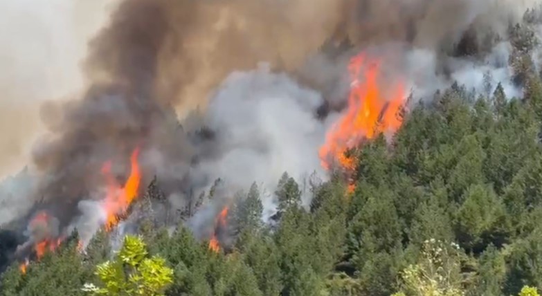 Alarm në Dukat! Zjarri rrezikon Parkun e Llogorasë, 100 forca në luftë ...