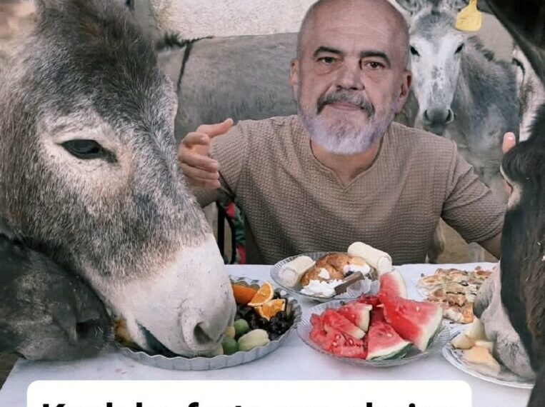 Afera e 'Eco Park', ja manovrat e Edi Ramës për t’ja dhënë tenderin ...