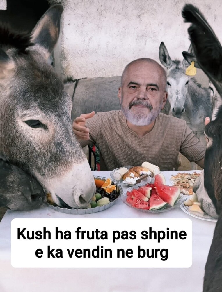 Afera e 'Eco Park', ja manovrat e Edi Ramës për t’ja dhënë tenderin ...