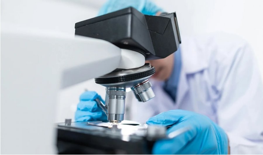 Zbulim shqetësues/ Superbakteri “Candida auris” konfirmohet për herë të ...