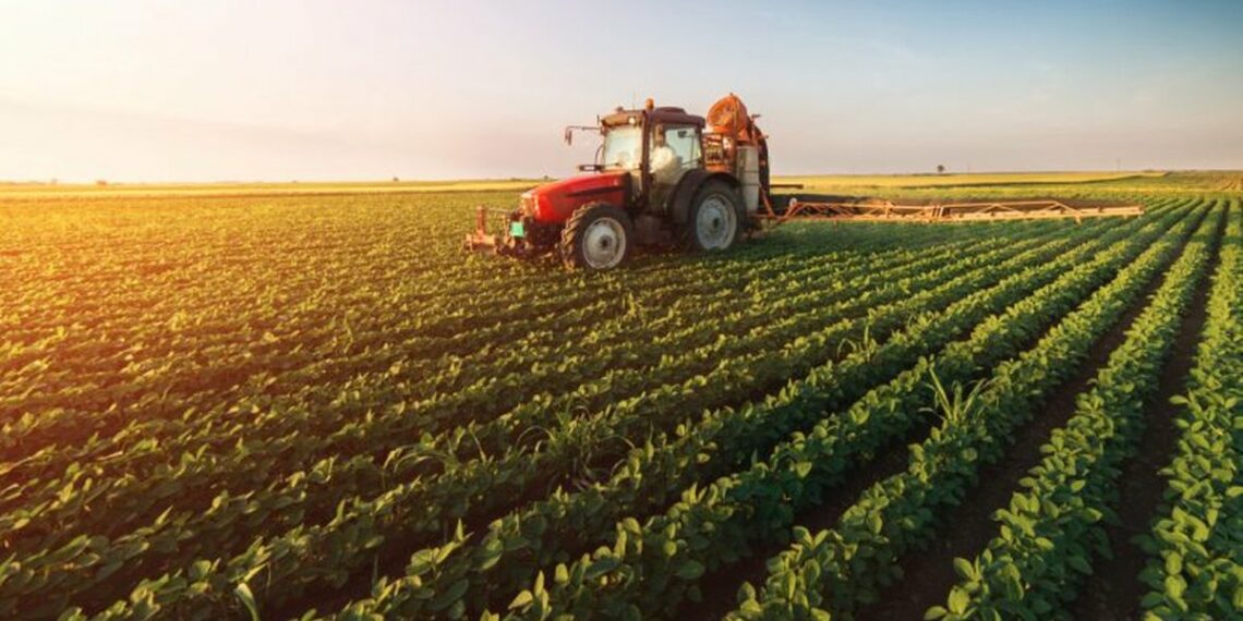 Si do bëhet kompensimi i fermerëve për TVSH? Tatimet sqarojnë ...